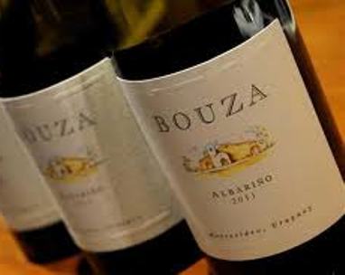Ruta del Vino: Bodega Bouza - Todo Uruguay