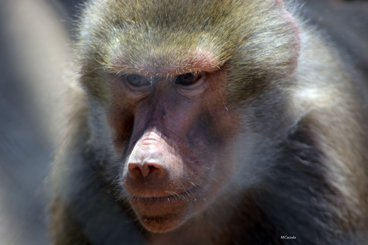 Reserva de Flora y Fauna Dr. Rodolfo Tálice - Todo Uruguay