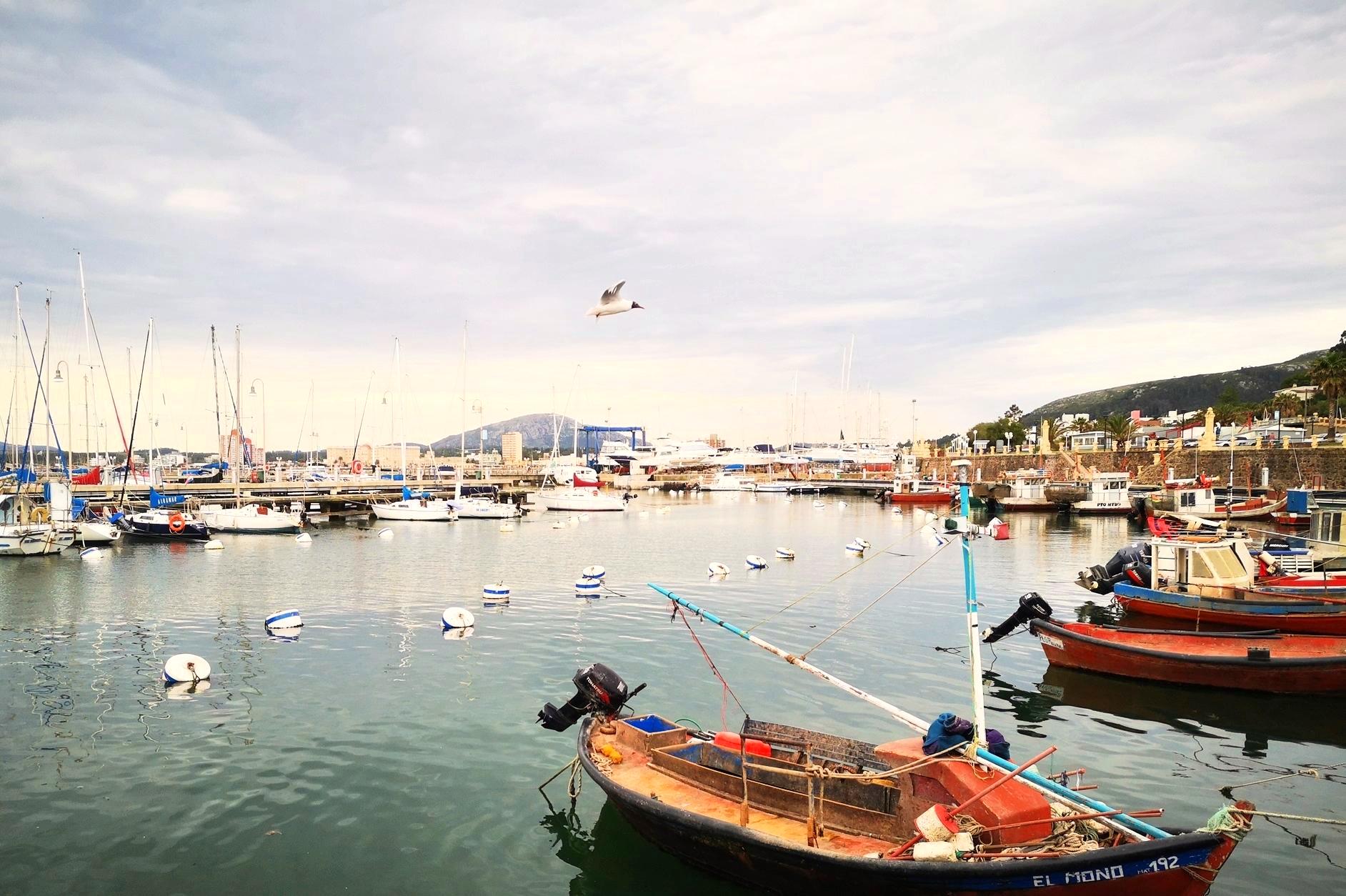 Paseo por el Puerto de Piriápolis: qué ver y qué hacer todo el año ...